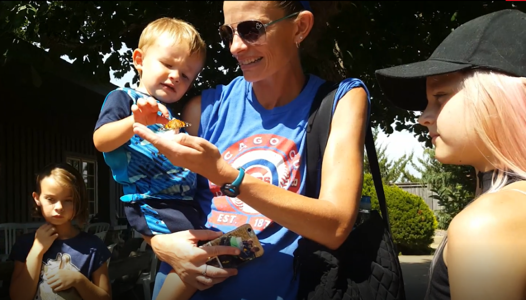 Volunteer – Cedar Valley Monarch Zones